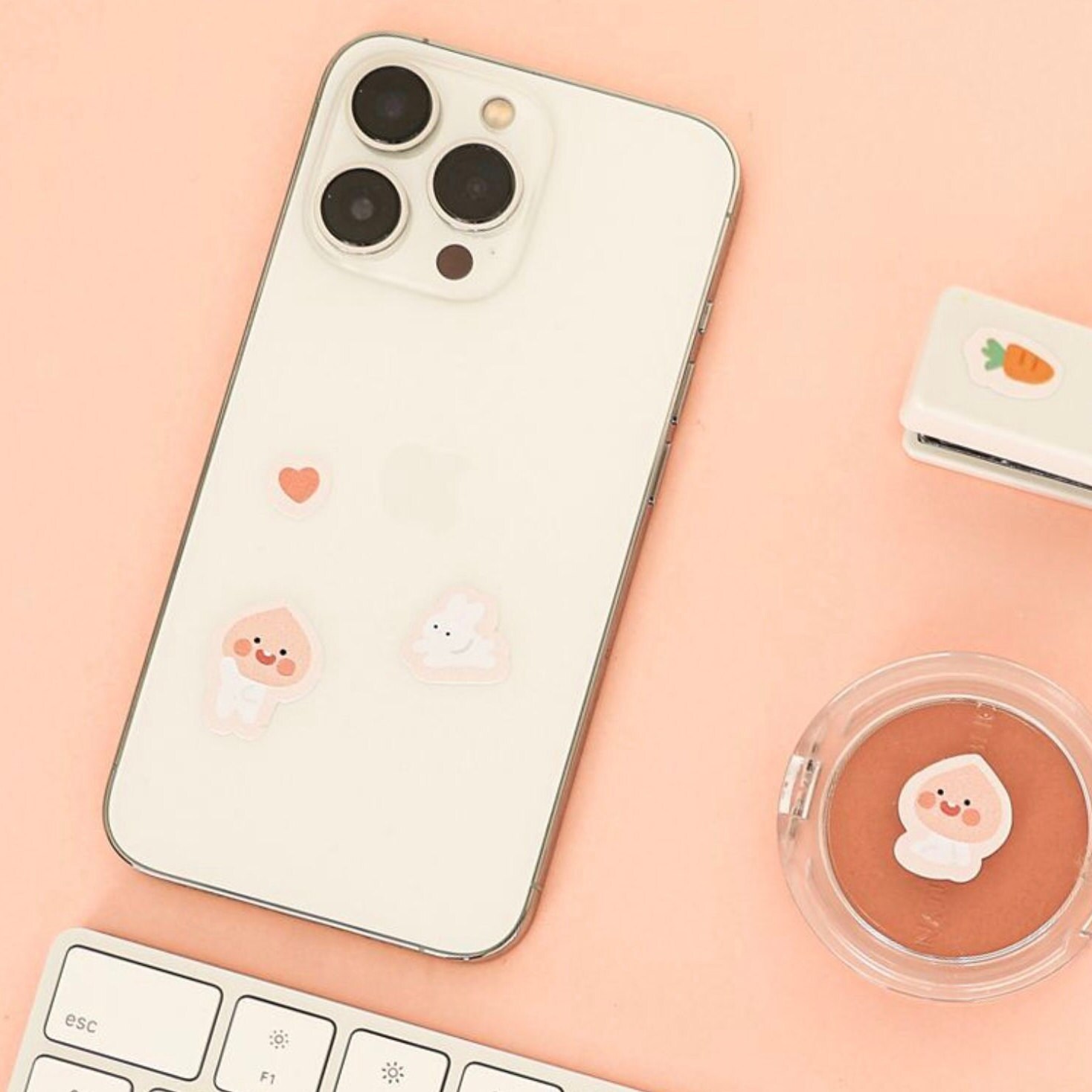 Kakao Friends Stickers - Spring Stickers for Journaling Stickers for ...