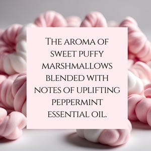 Marshmallow Mint Body Splash - Etsy