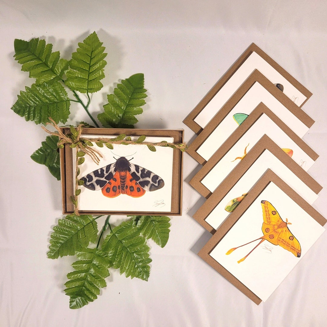Nature Cards/greeting Cards/watercolor Cards/moth Cards/ Card Bundles ...
