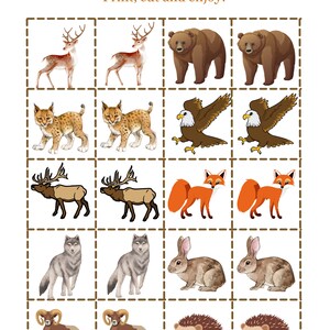 Memory Game Bundle! Animal, Summer, Halloween, Thanksgiving and ...