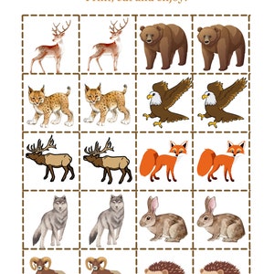 Animal Memory Game! You Can Match Animal to Animal or for a More ...