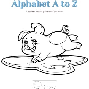 A to Z Color and Trace Alphabet Book! Color the Drawing and Trace the ...