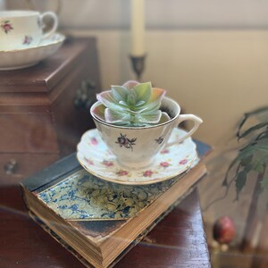 TEA GARDENS Vintage Teacup Planters - Etsy