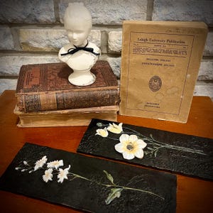 Dark Academia Home Décor & Trinkets • Moody Literary Aesthetic • Girly ...