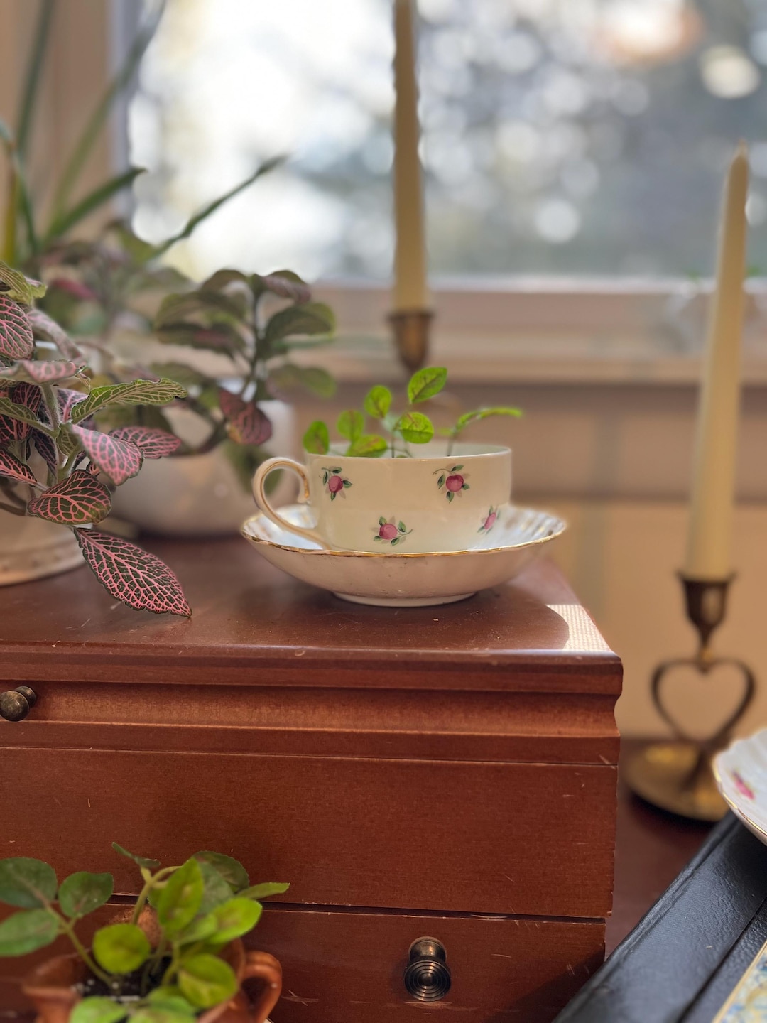TEA GARDENS Vintage Teacup Planters - Etsy