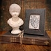Dark Academia Home Décor & Trinkets • Moody Literary Aesthetic • Girly ...