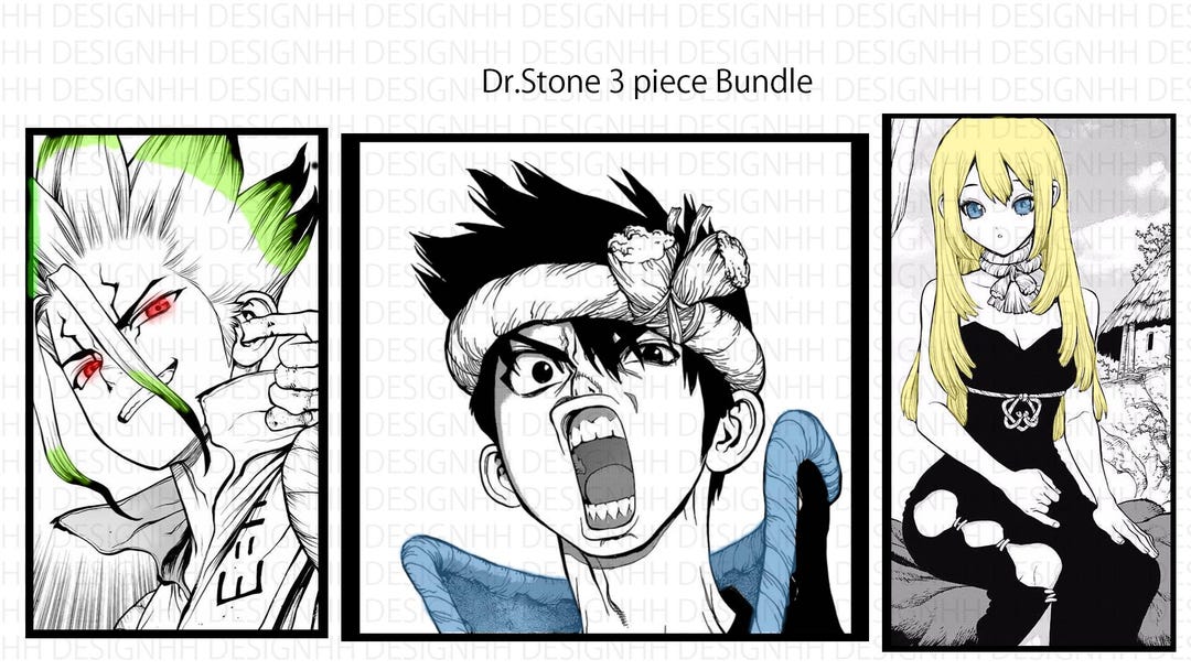 Dr.stone 3 Piece Bundle Senku Chrome Ruri - Etsy