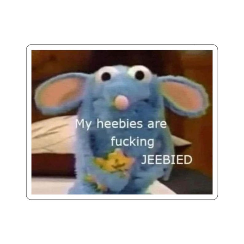 My Heebies Are Jeebied Meme Sticker - Etsy