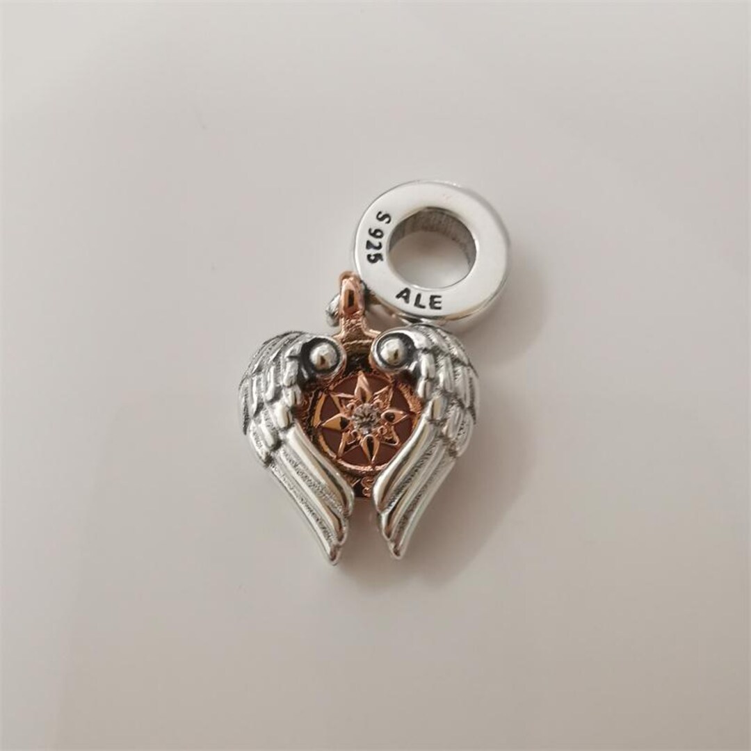 Sky Compass Angel Wings Pandora Rose Charm Pendant - Etsy