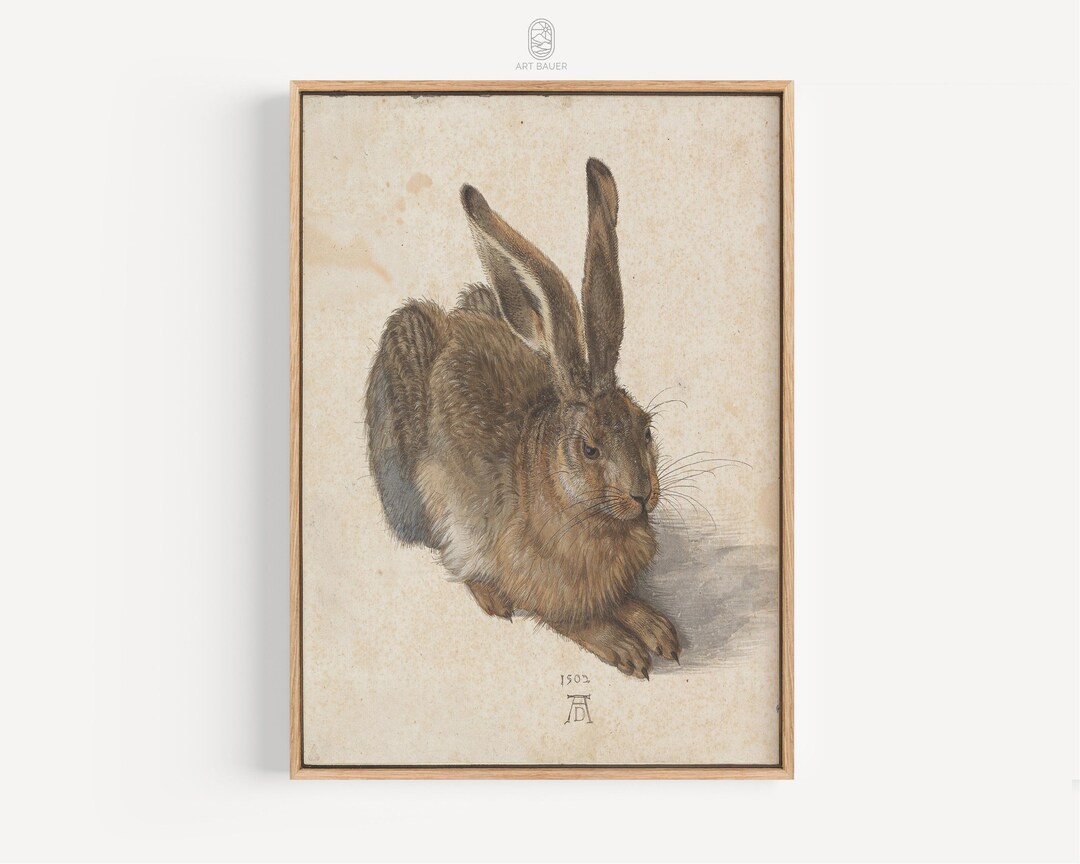 Hare | Albrecht Dürer, 1502 | Vintage Animal Print, Rabbit Illustration ...