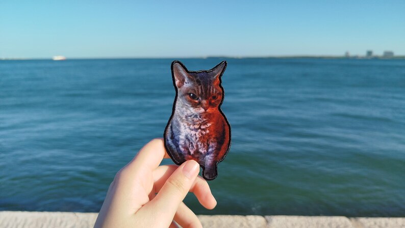 Patch "angry Cat Meme", Meme Cat Patch, Patch for Backpack/ Tote Bag ...
