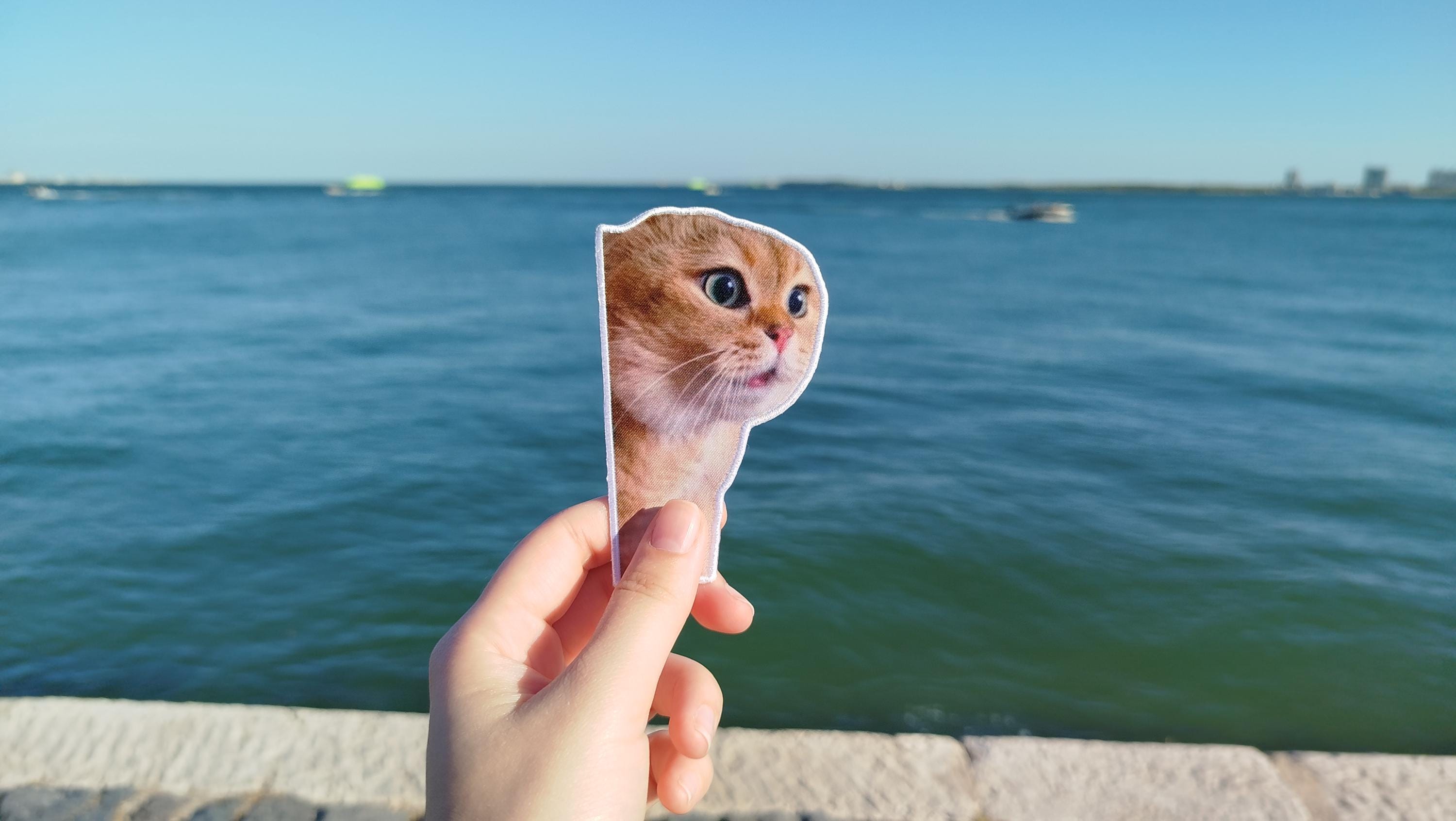 Patch "meme Talking Cat", Meme Cat Patch, Patch for Backpack/ Tote Bag ...