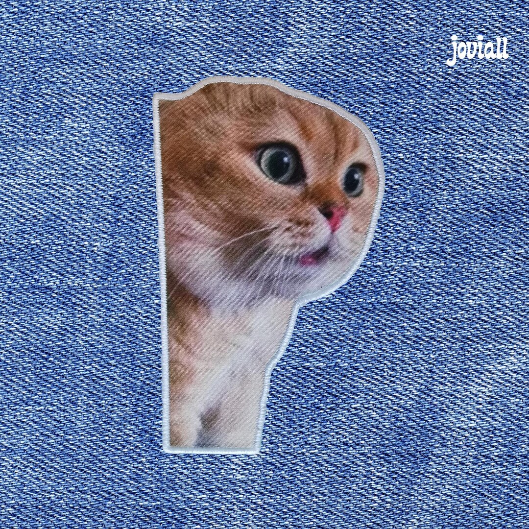 Patch "meme Talking Cat", Meme Cat Patch, Patch for Backpack/ Tote Bag ...