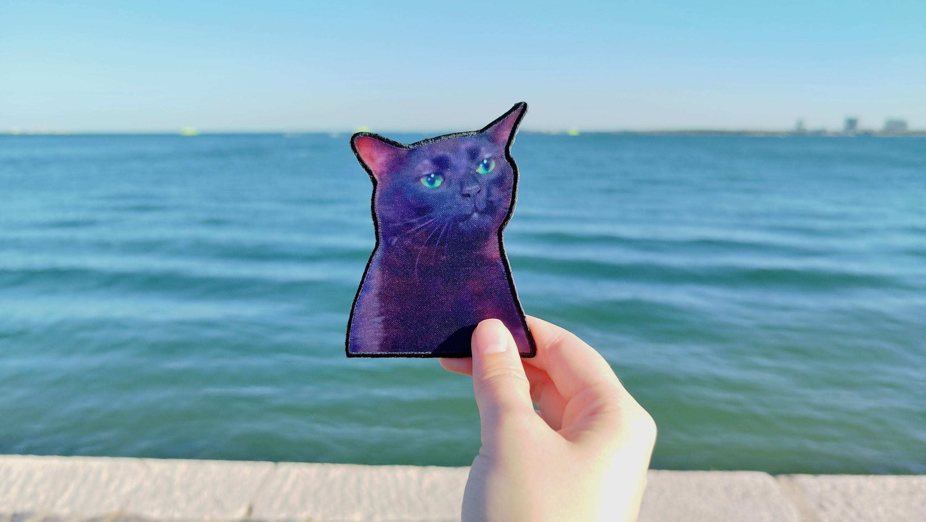 Black Cat Zoning Out Patch, Meme Cat Patch, Patch for Backpack/ Tote ...