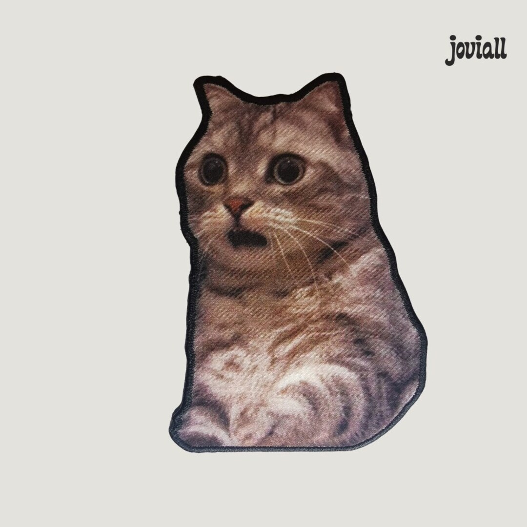 Patch "amazed Cat", Meme Cat Patch, Patch for Backpack/ Tote Bag ...
