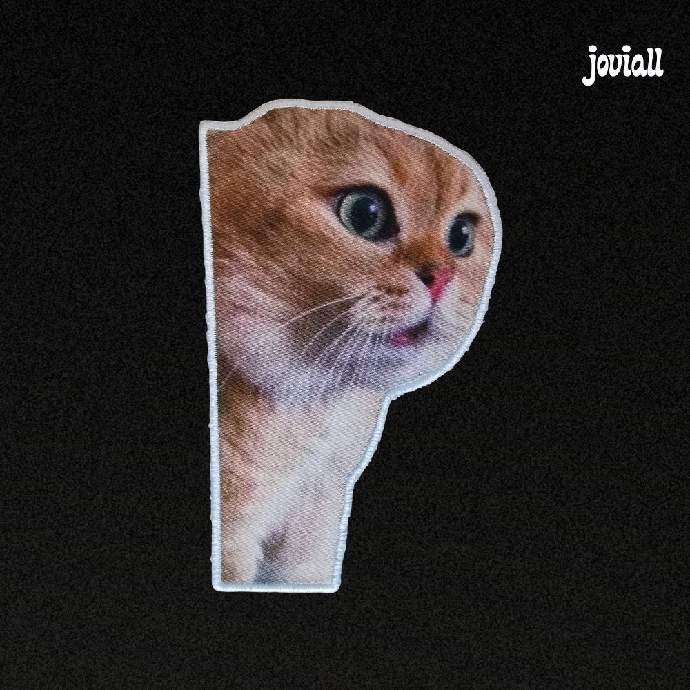 Patch "meme Talking Cat", Meme Cat Patch, Patch for Backpack/ Tote Bag ...