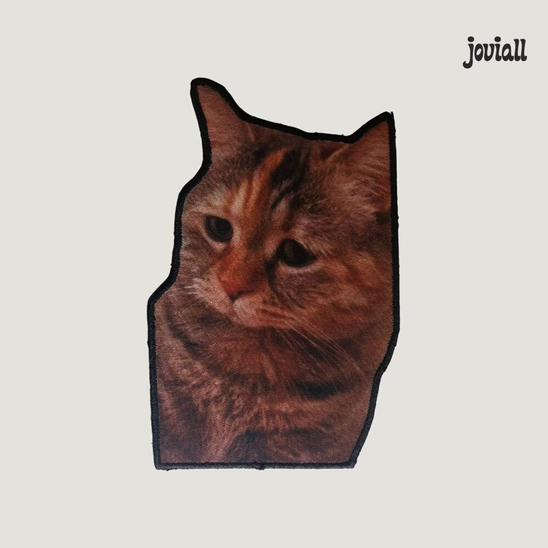 Patch "sad Cat Meme", Meme Cat Patch, Patch for Backpack/ Tote Bag ...