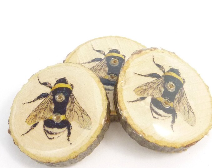 3 BRANCH Buttons. Bumble Bee Real Wood Branch Decorative - Etsy