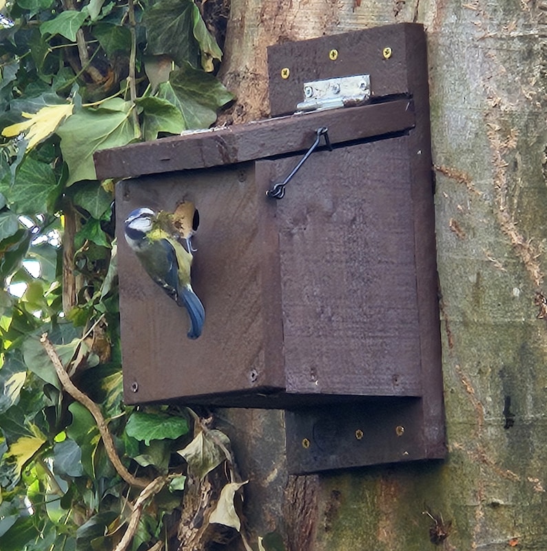 Traditional Bird Box With Hinged Roof - Etsy UK