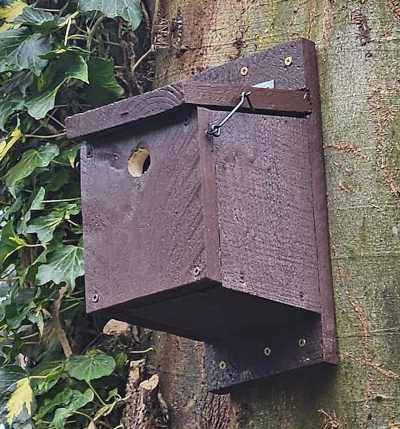 Traditional Bird Box With Hinged Roof - Etsy UK