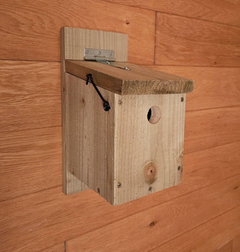 Traditional Bird Box With Hinged Roof - Etsy UK
