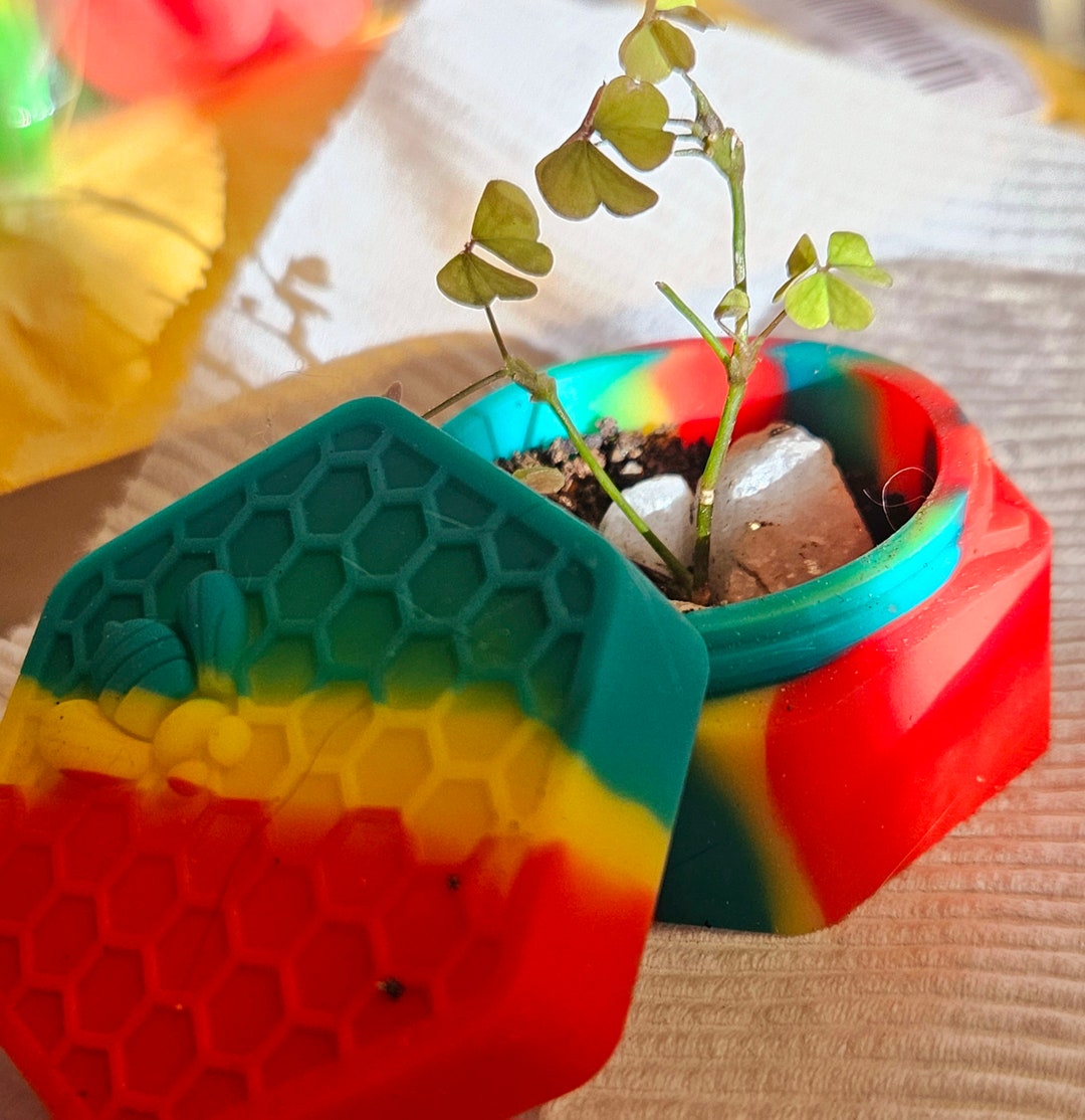 Little Buddy Silicone Seed Starter Kit Hexagon Silacone Beehive Pot ...