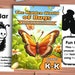 Creatures Under the Sea: Printable Educational Activity Book - Etsy