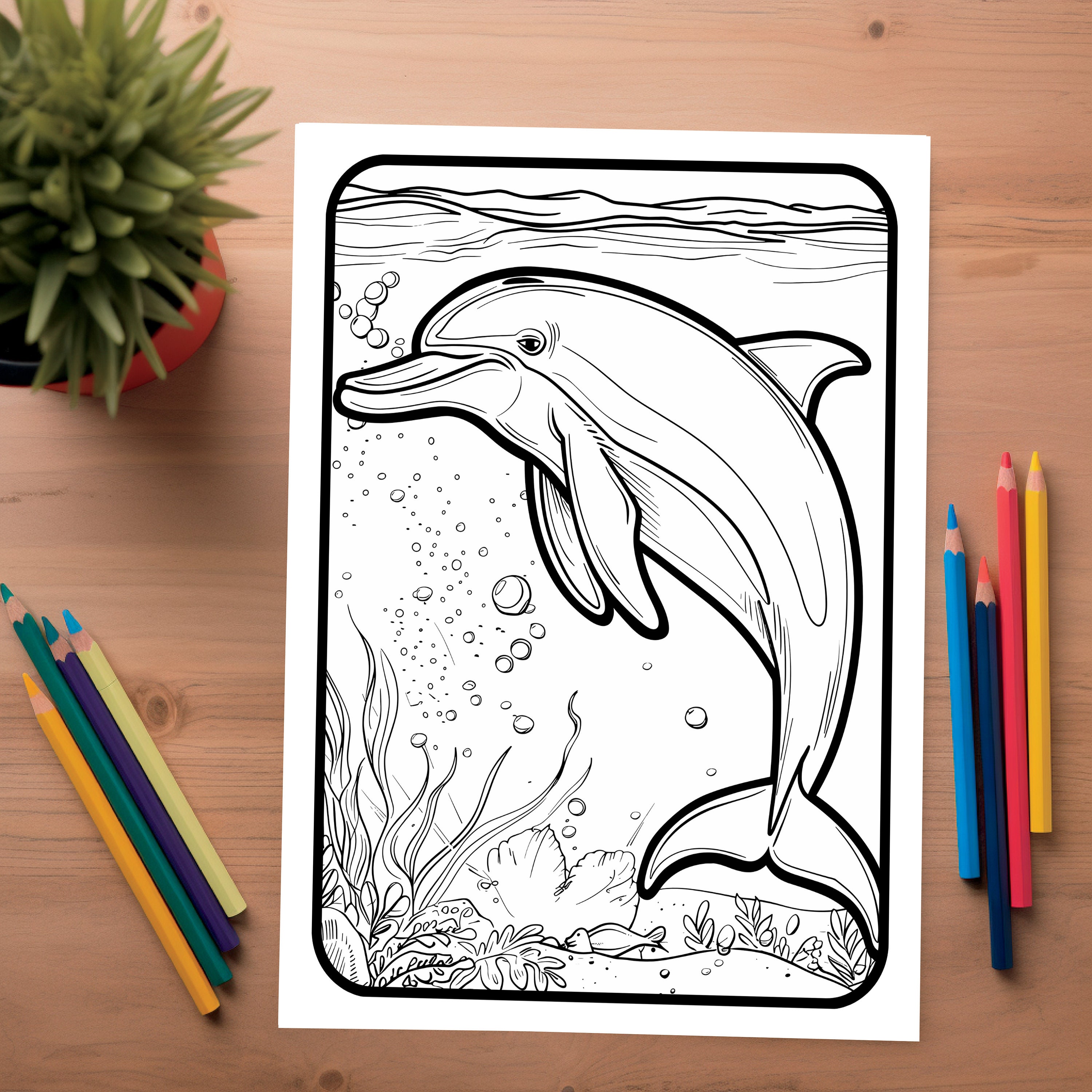 Creatures Under the Sea: Printable Educational Activity Book - Etsy