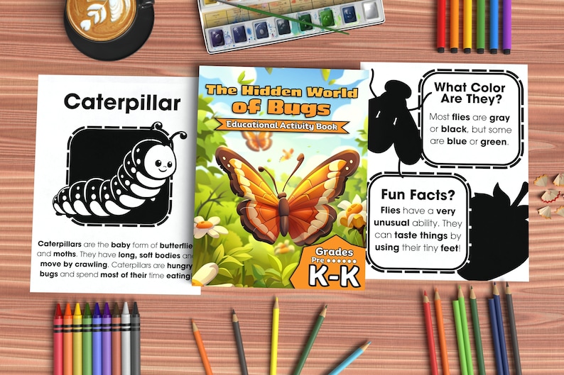 The Hidden World of Bugs: Printable Educational Activity Book - Etsy