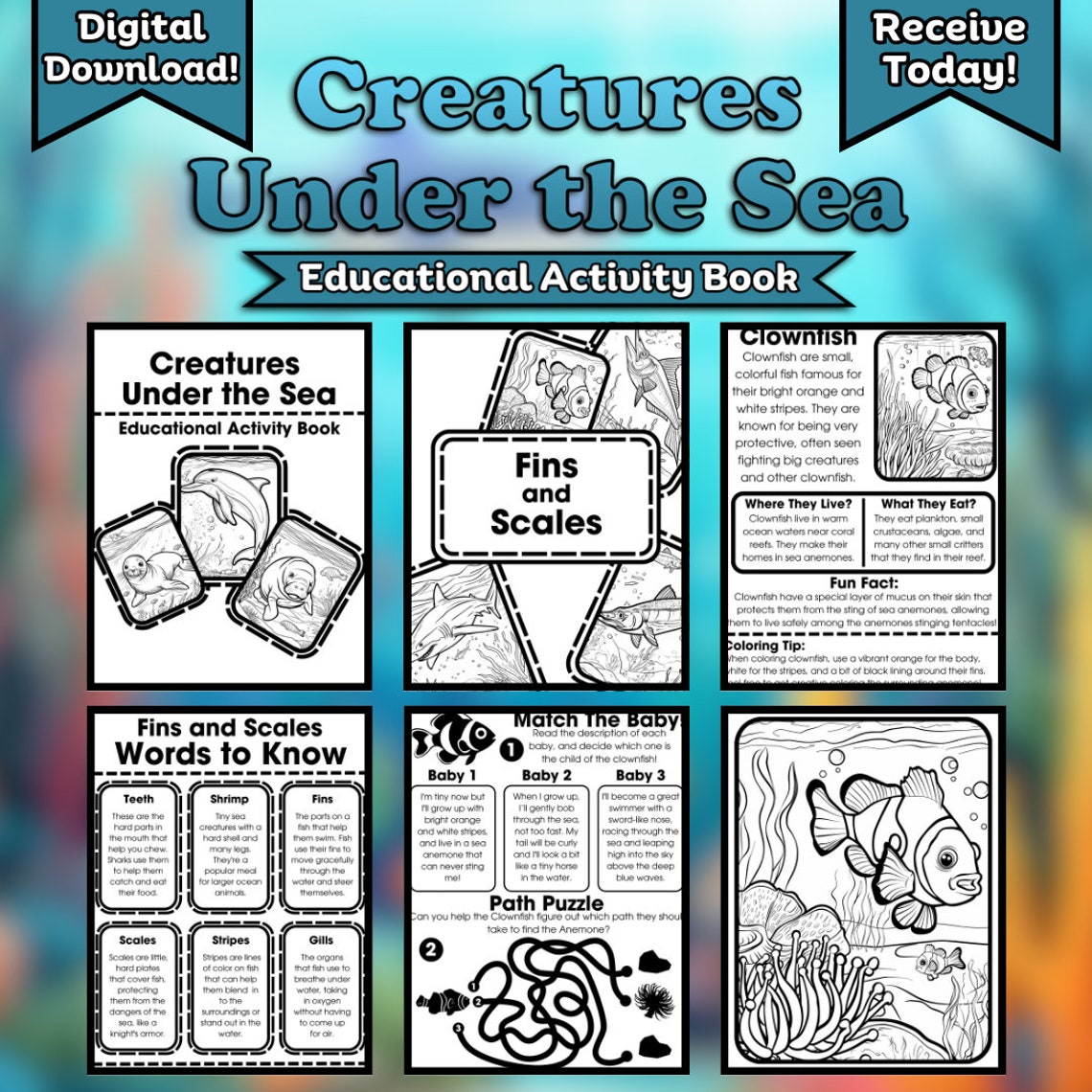 Creatures Under the Sea: Printable Educational Activity Book - Etsy