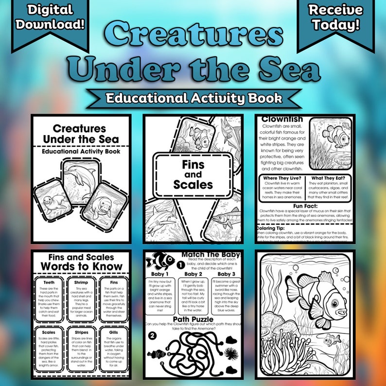 Creatures Under the Sea: Printable Educational Activity Book - Etsy