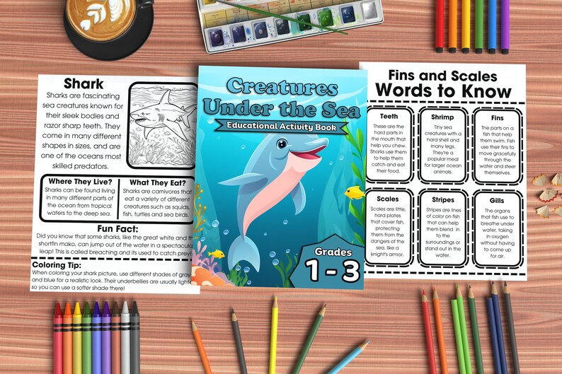Creatures Under the Sea: Educational Activity Book - Etsy