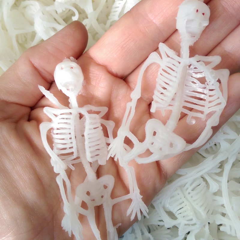 Tiny Skeleton - Etsy
