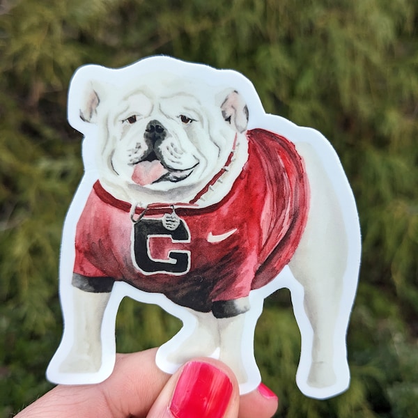 University of Georgia - Etsy