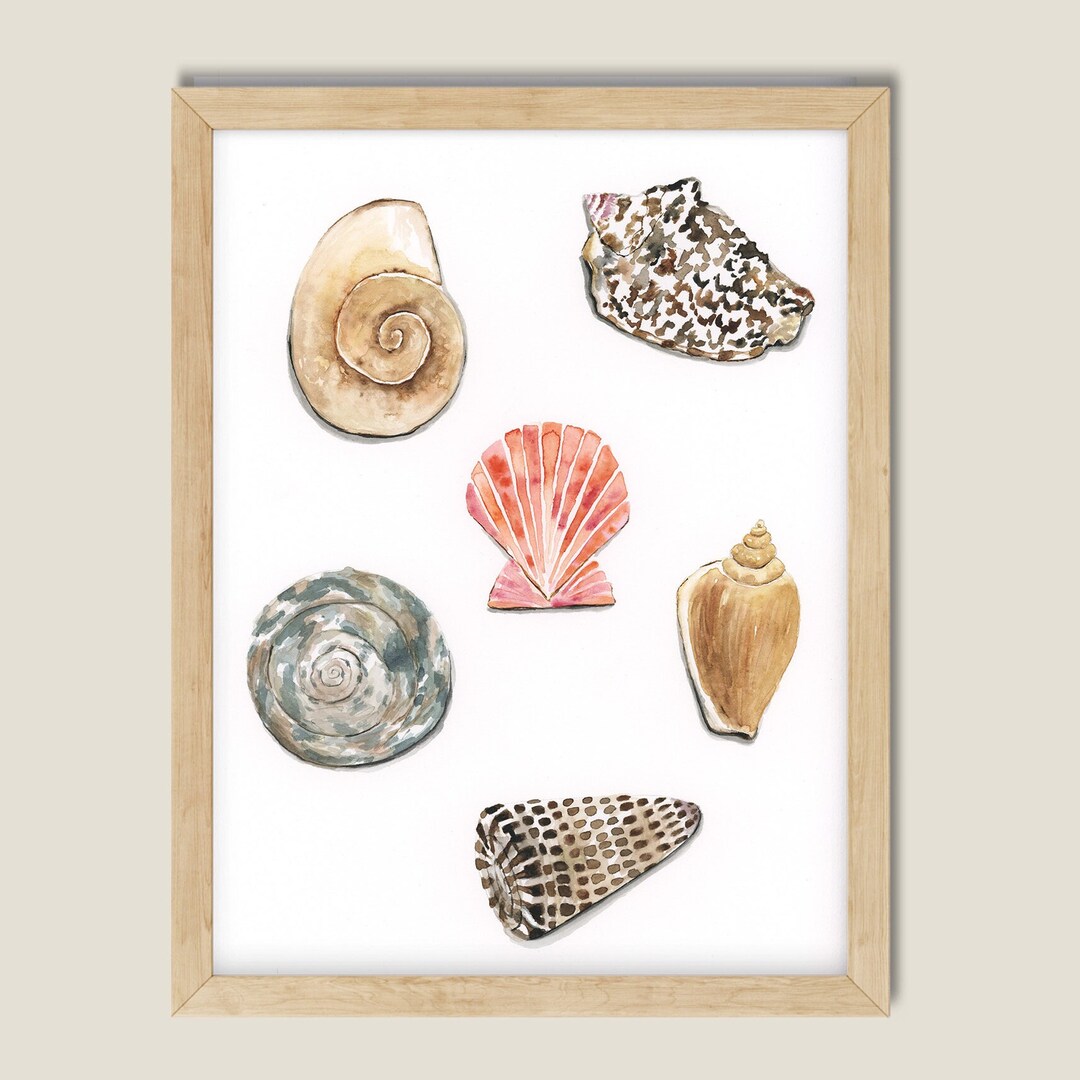 Original Watercolor Shells Painting. Nautical Theme. Beach Art. - Etsy
