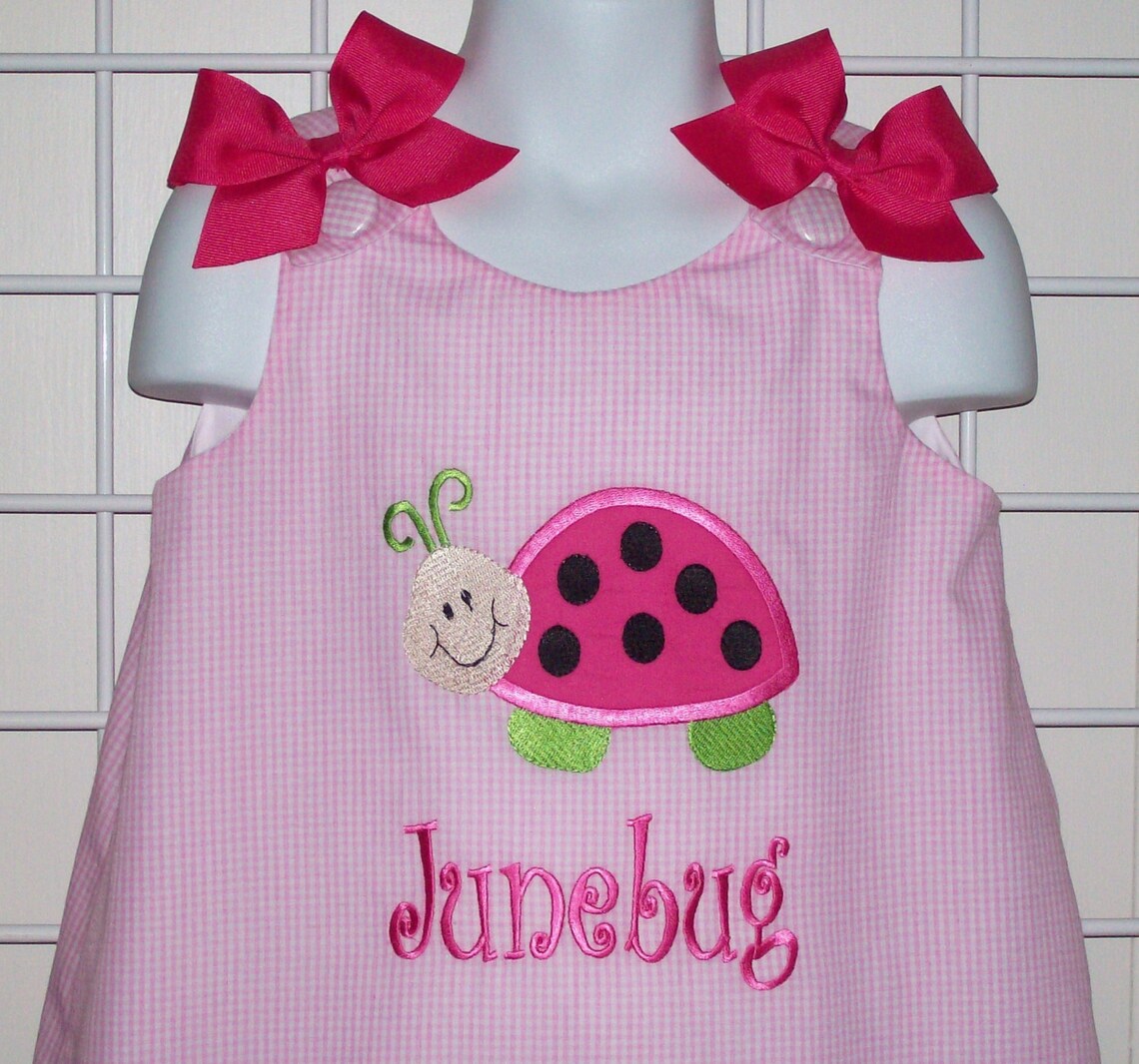 Pink Gingham Ladybug Applique Monogram Birthday Party A-line | Etsy