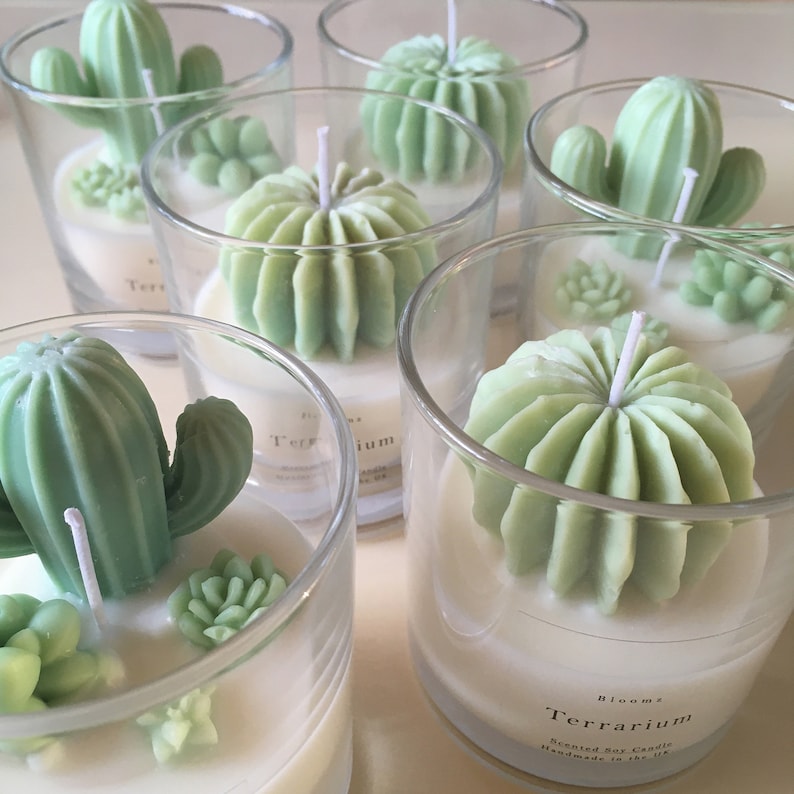 Terrarium Cactus Candle in a Glass - Etsy