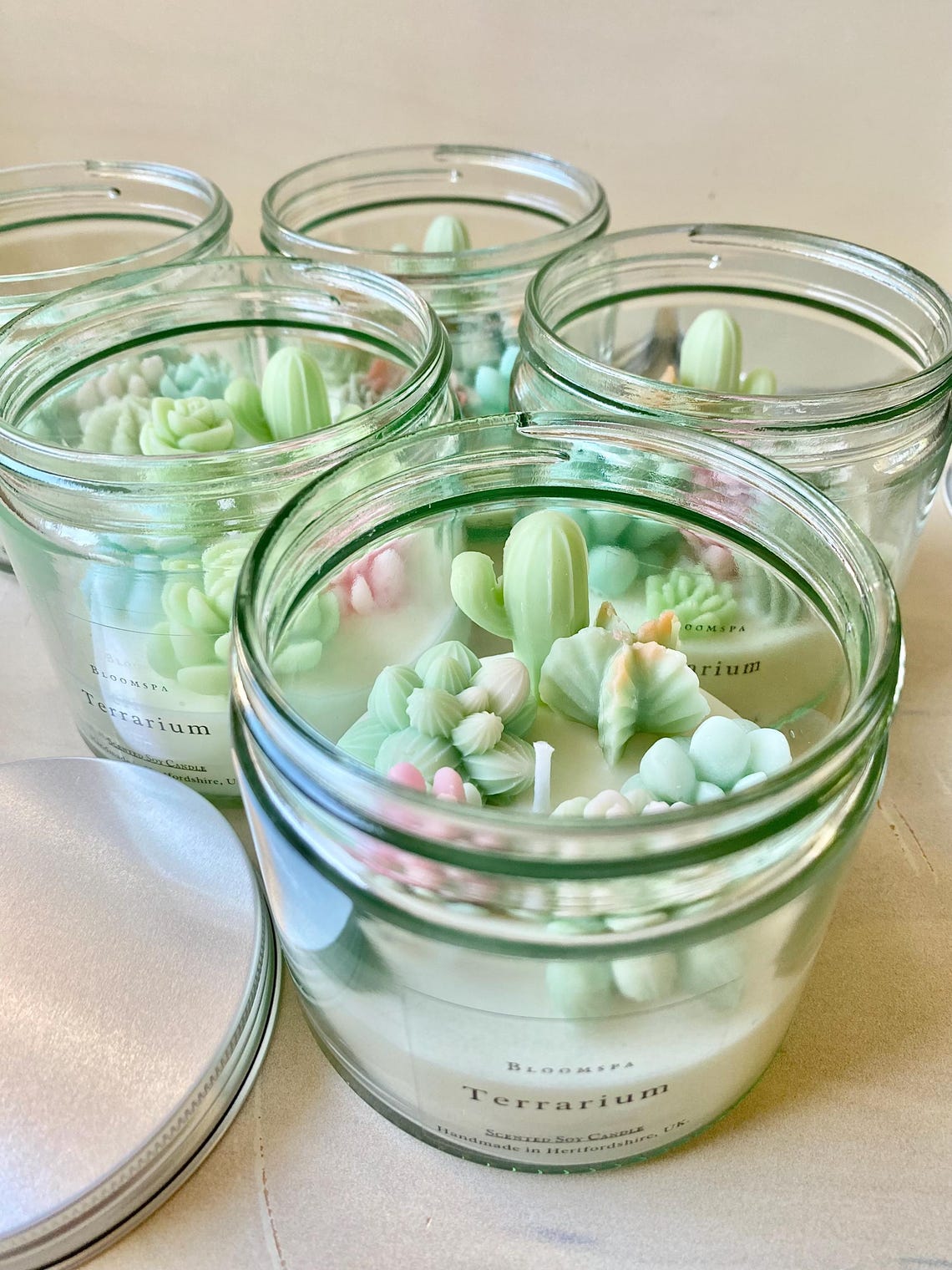 Terrarium Candle in a Jar With Lid - Etsy
