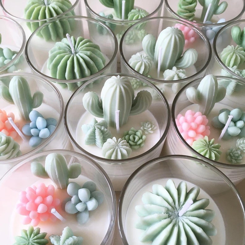 Terrarium Cactus Candle in a Glass - Etsy