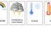 Weather Flashcards, Preschool, School, Early Learning, Education. - Etsy