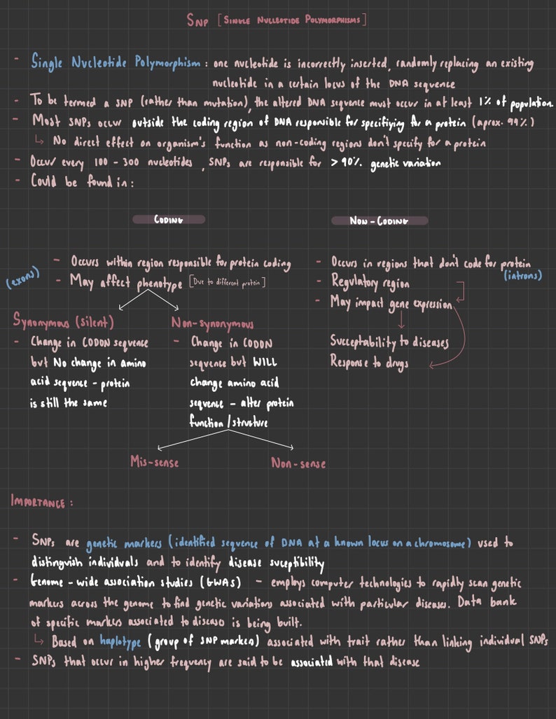 HSC Module 5 Biology Extensive Handwritten Notes, Black Paper, Colorful ...