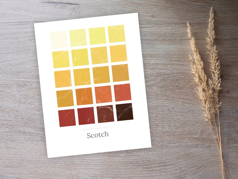 Scotch Color Guide, Types, Tips, Cheatsheet, Poster, Sign, Gift, Home ...