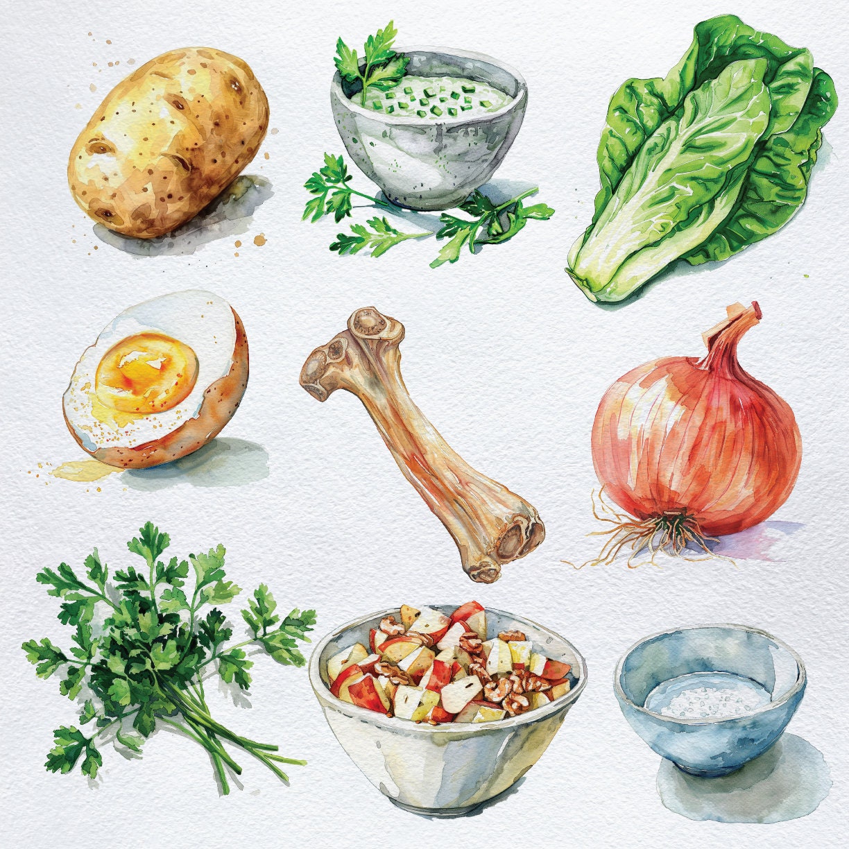 Pesach/passover Seder Dinner Illustration Set Clip Art - Etsy