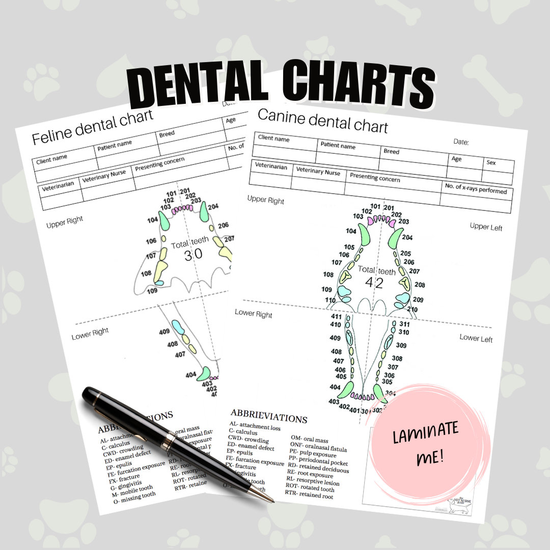 Canine and Feline Dental Charts - Etsy