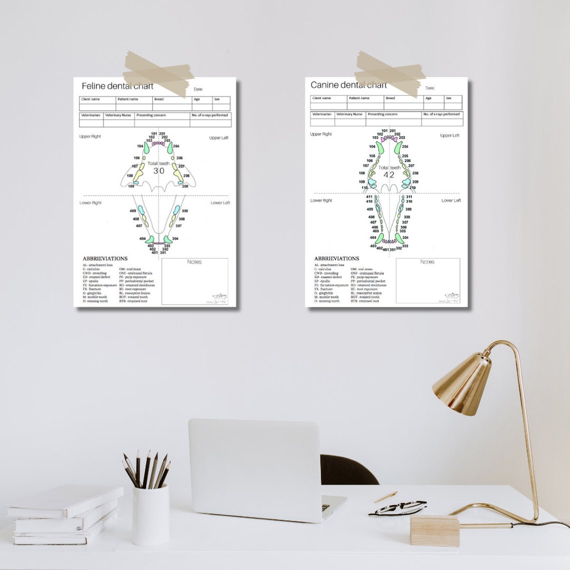 Canine and Feline Dental Charts - Etsy