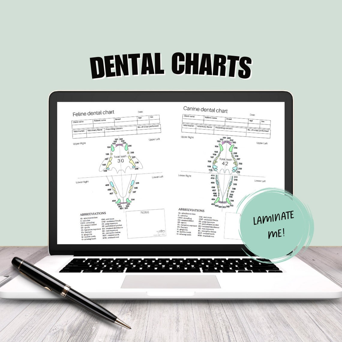 Canine and Feline Dental Charts - Etsy