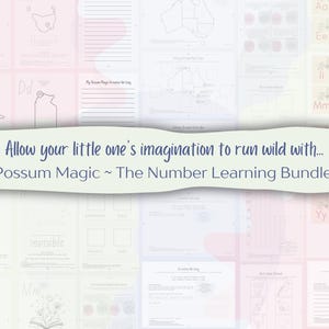 Possum Magic ~ Number Learning Bundle (resources, PDF, Preschool, Early ...