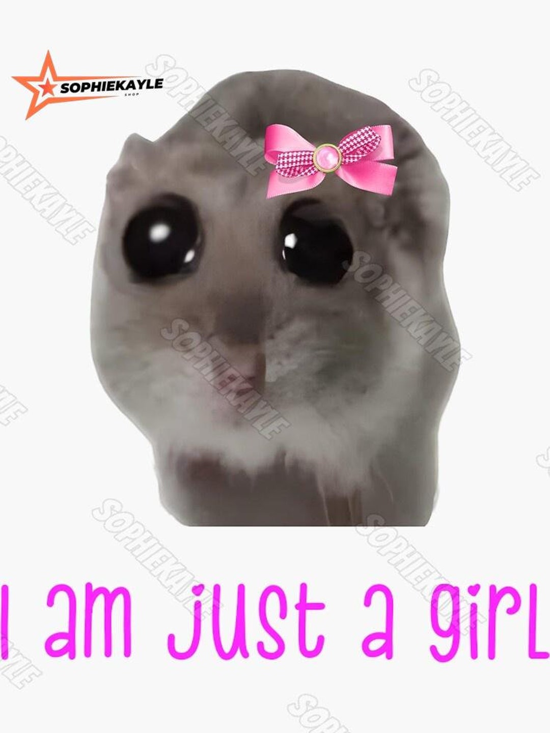 Sad Hamster I'm Literally Just a Girl Sticker, Sad Hamster Tiktok ...
