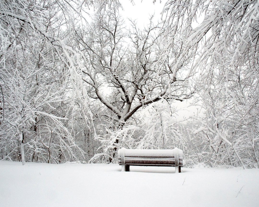 Minnesota Winter Landscape Photography. Snowy Bench at Mississippi ...