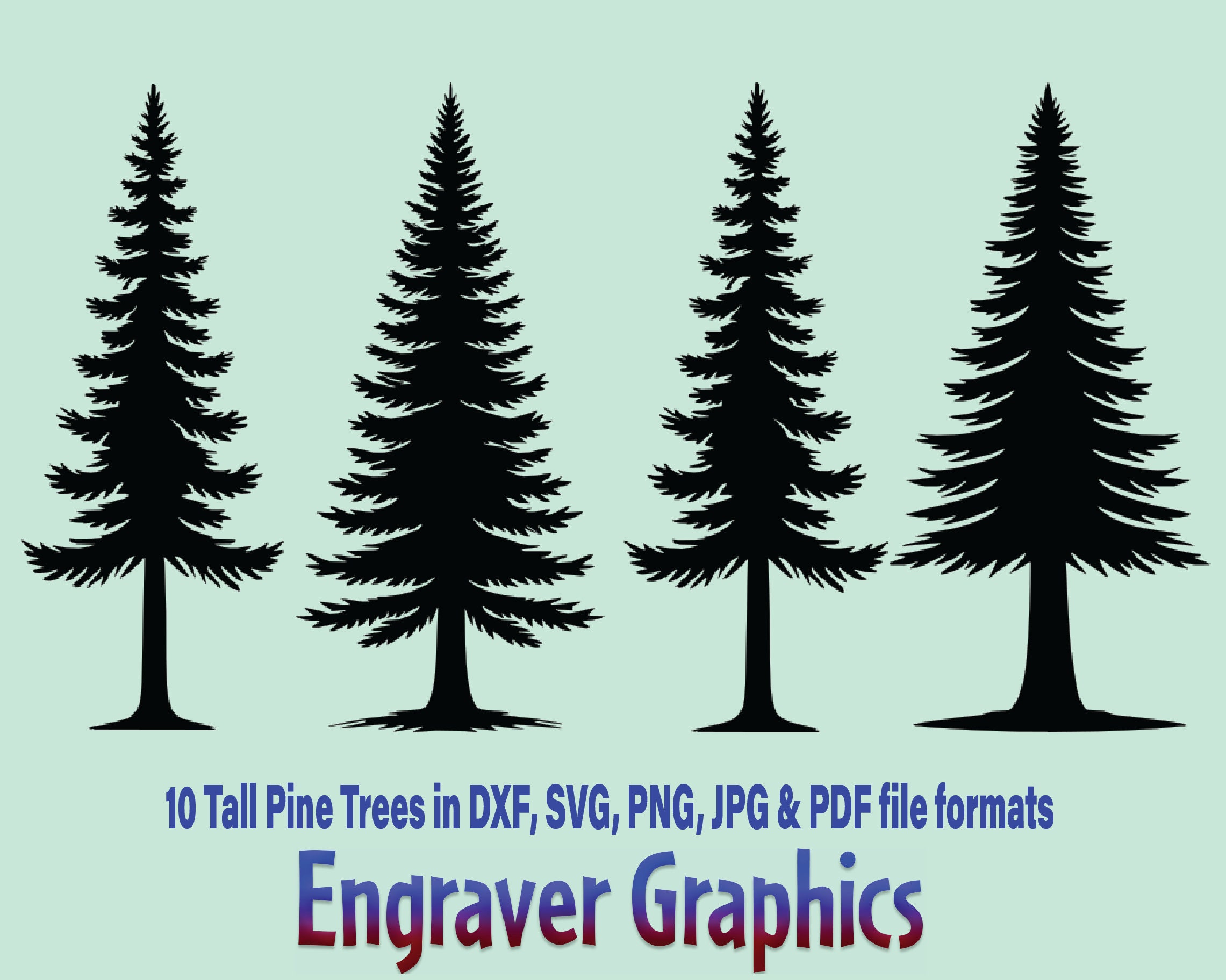 10 Tall Pine Tree Vector Silhouette Graphics in Dxf, Svg, Png, Jpg ...